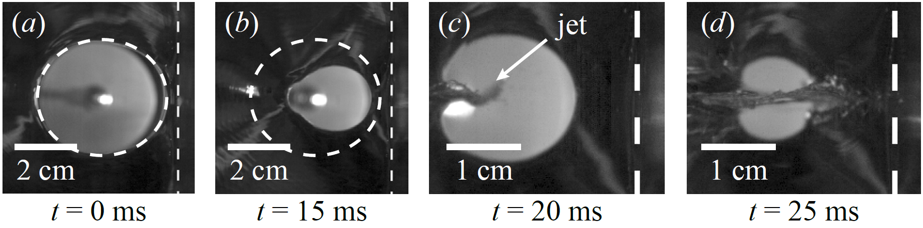 PhD Studentship: Cavity collapses in complex geometries | Peters Lab